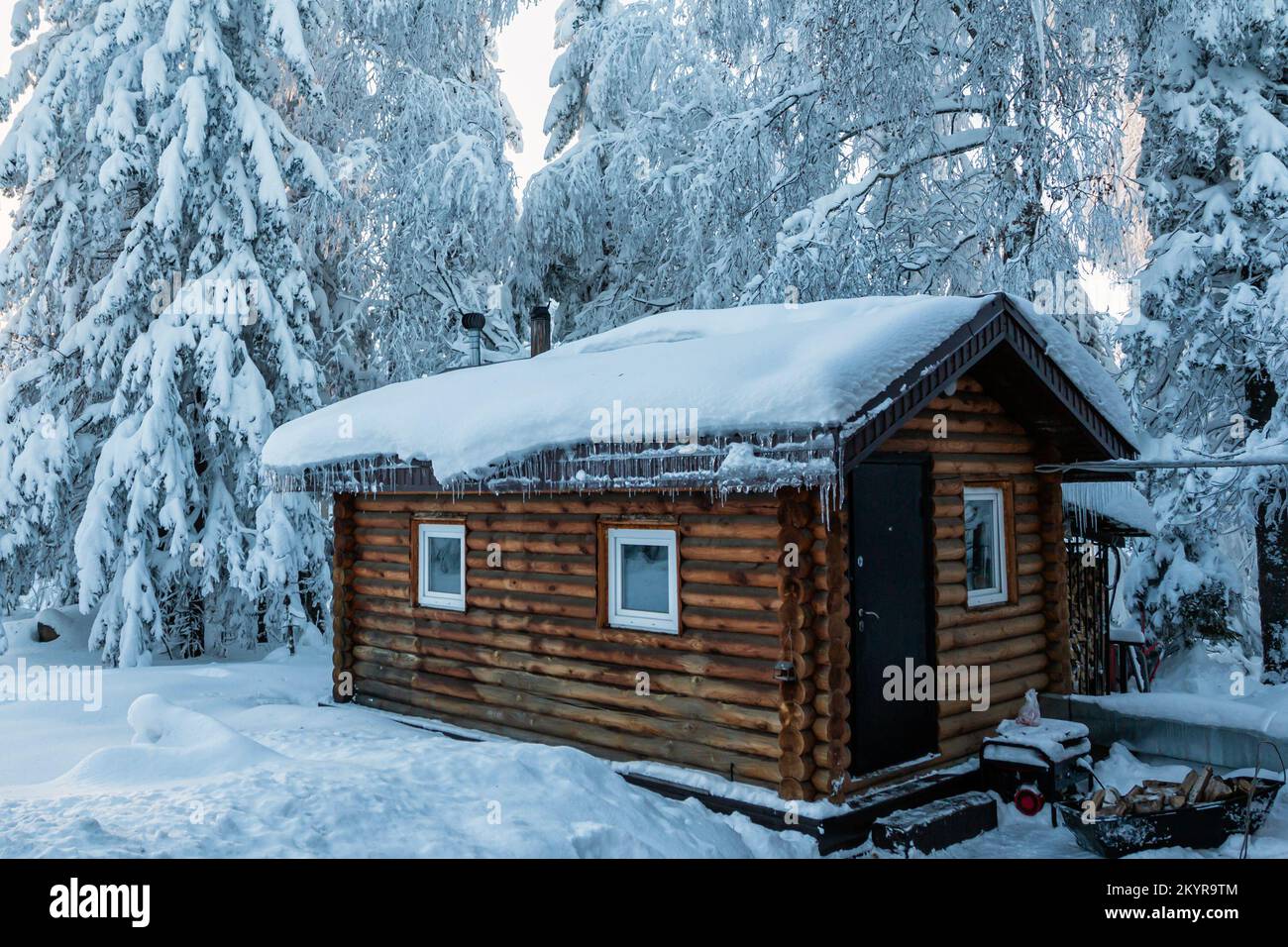 Wooden house in a picturesque winter forest Stock Photo - Alamy