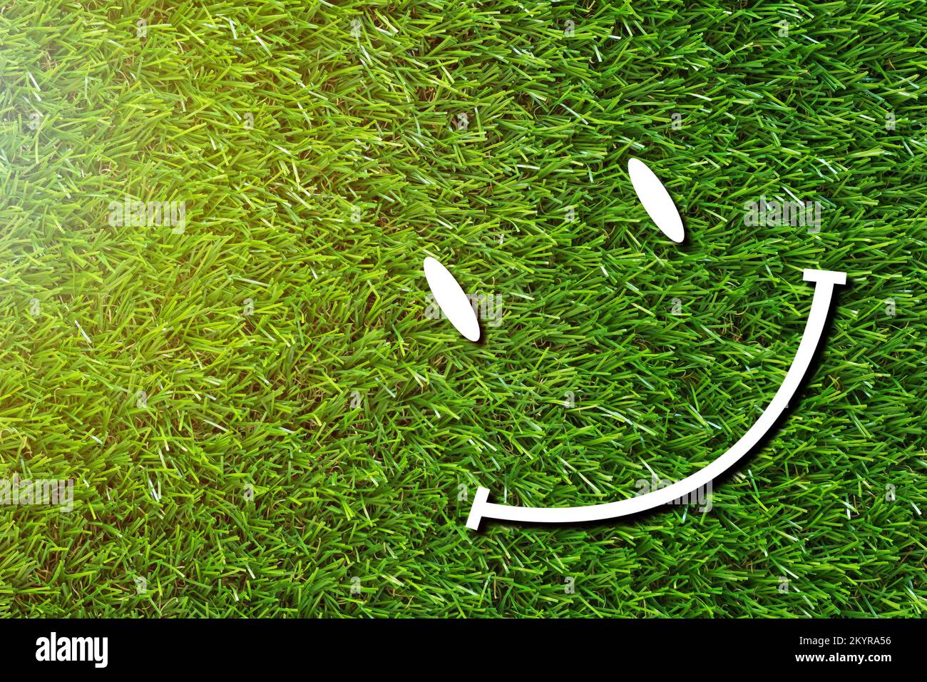 Happiness concept, smile and light on green grass background, nature ...