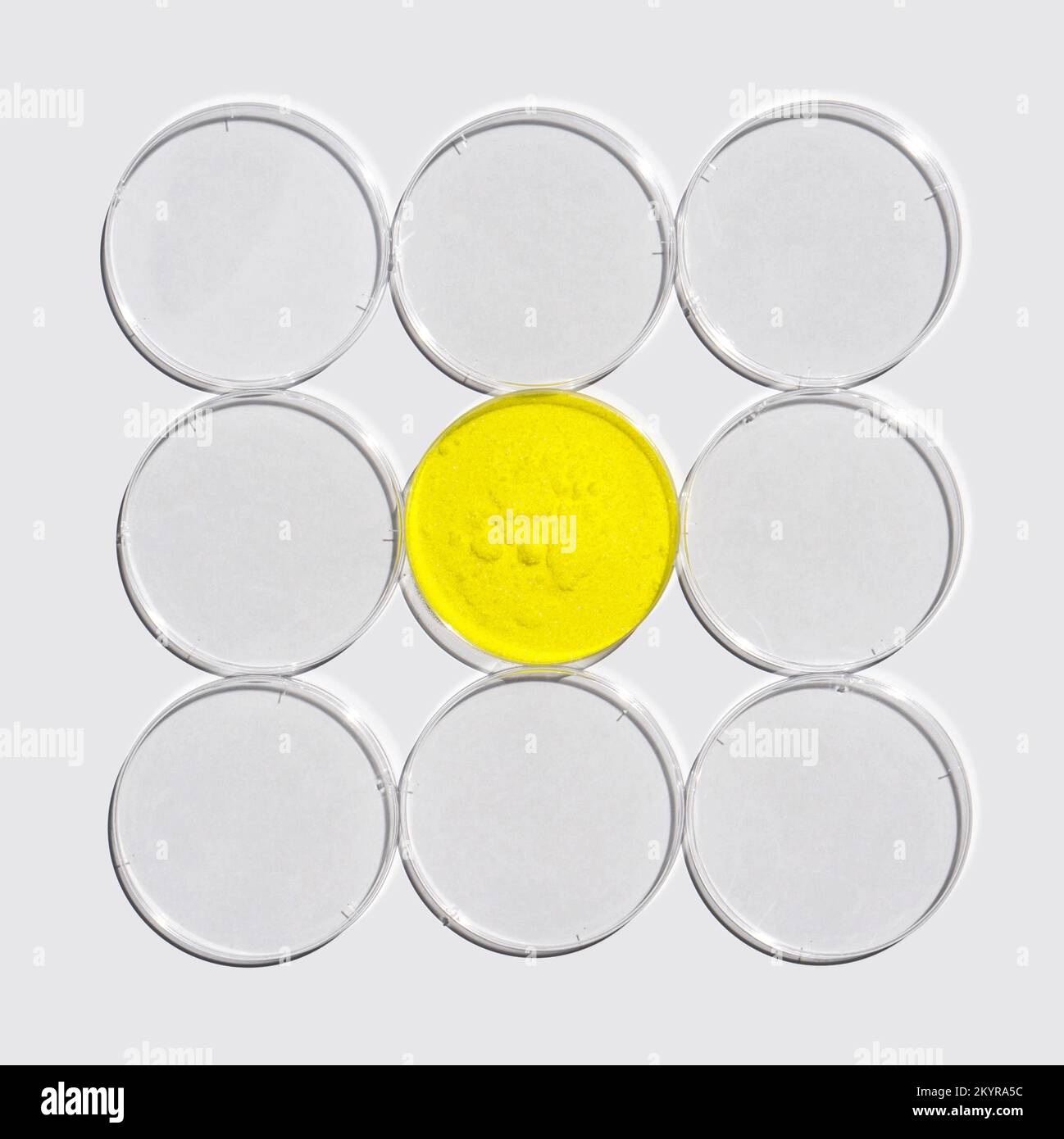 Potassium Chromate powder in Petri dish on white laboratory table. The ...
