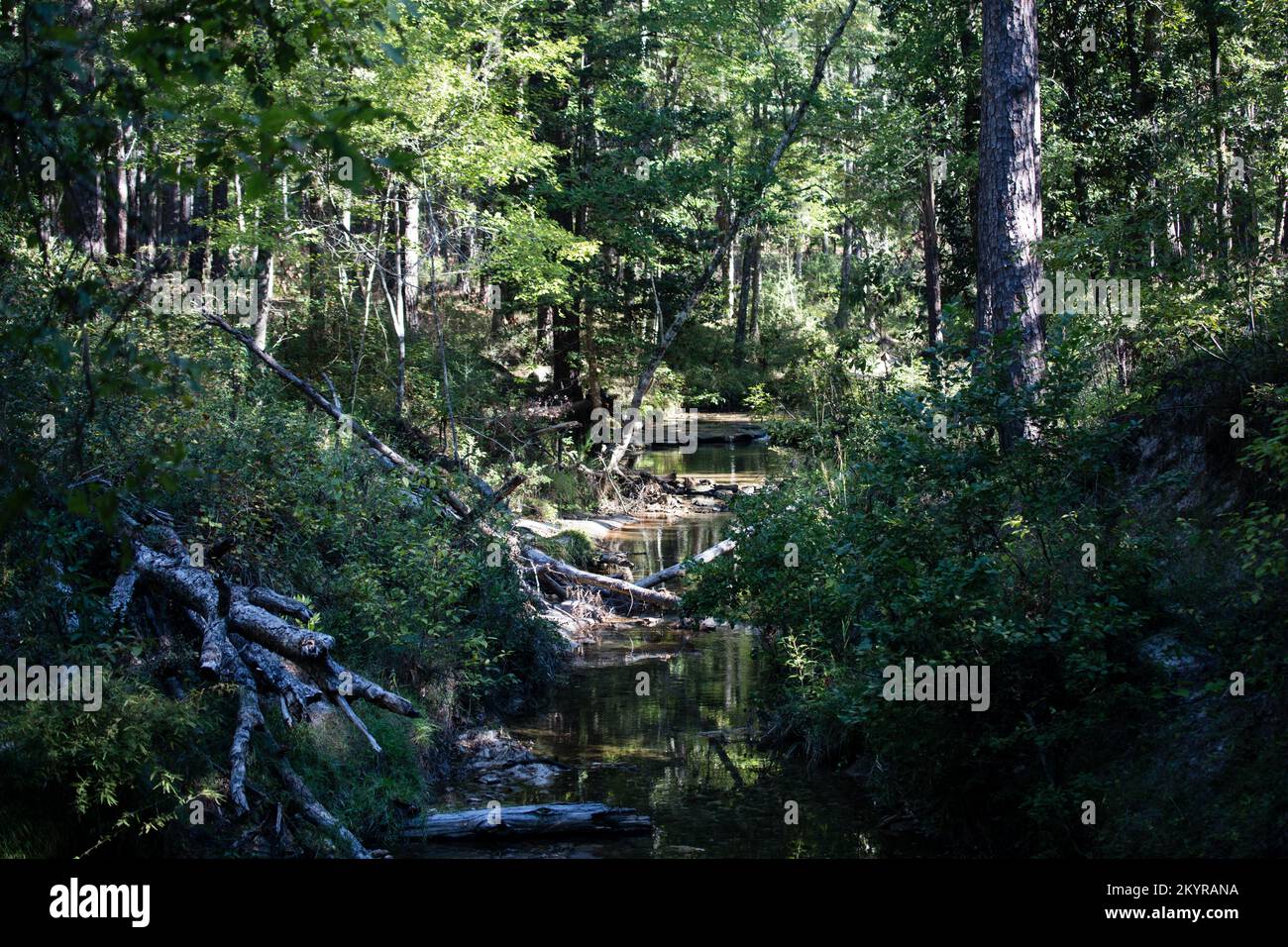 Scenes of nature from Central Texas Stock Photo - Alamy