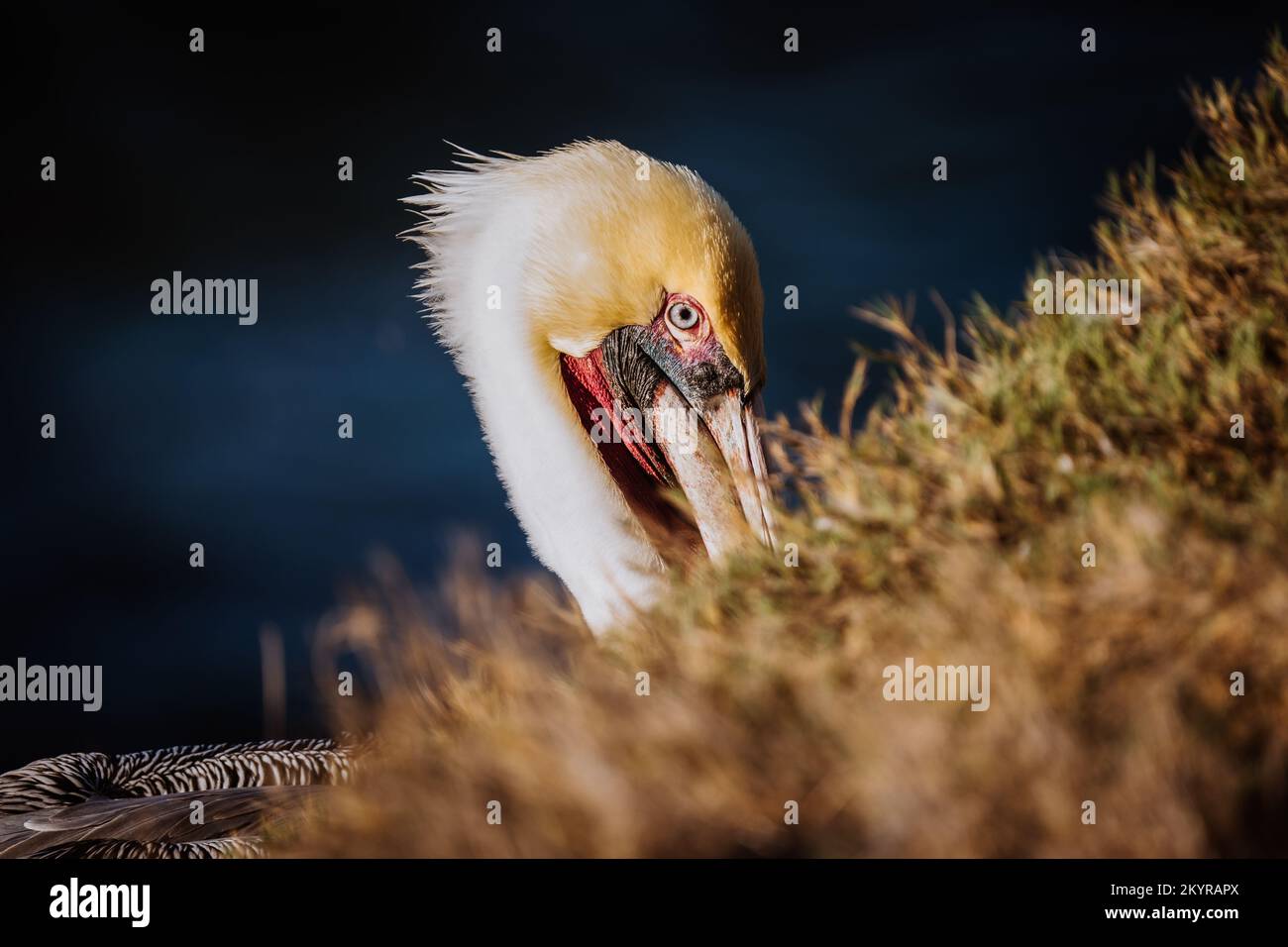 Beauty earth hi-res stock photography and images - Alamy