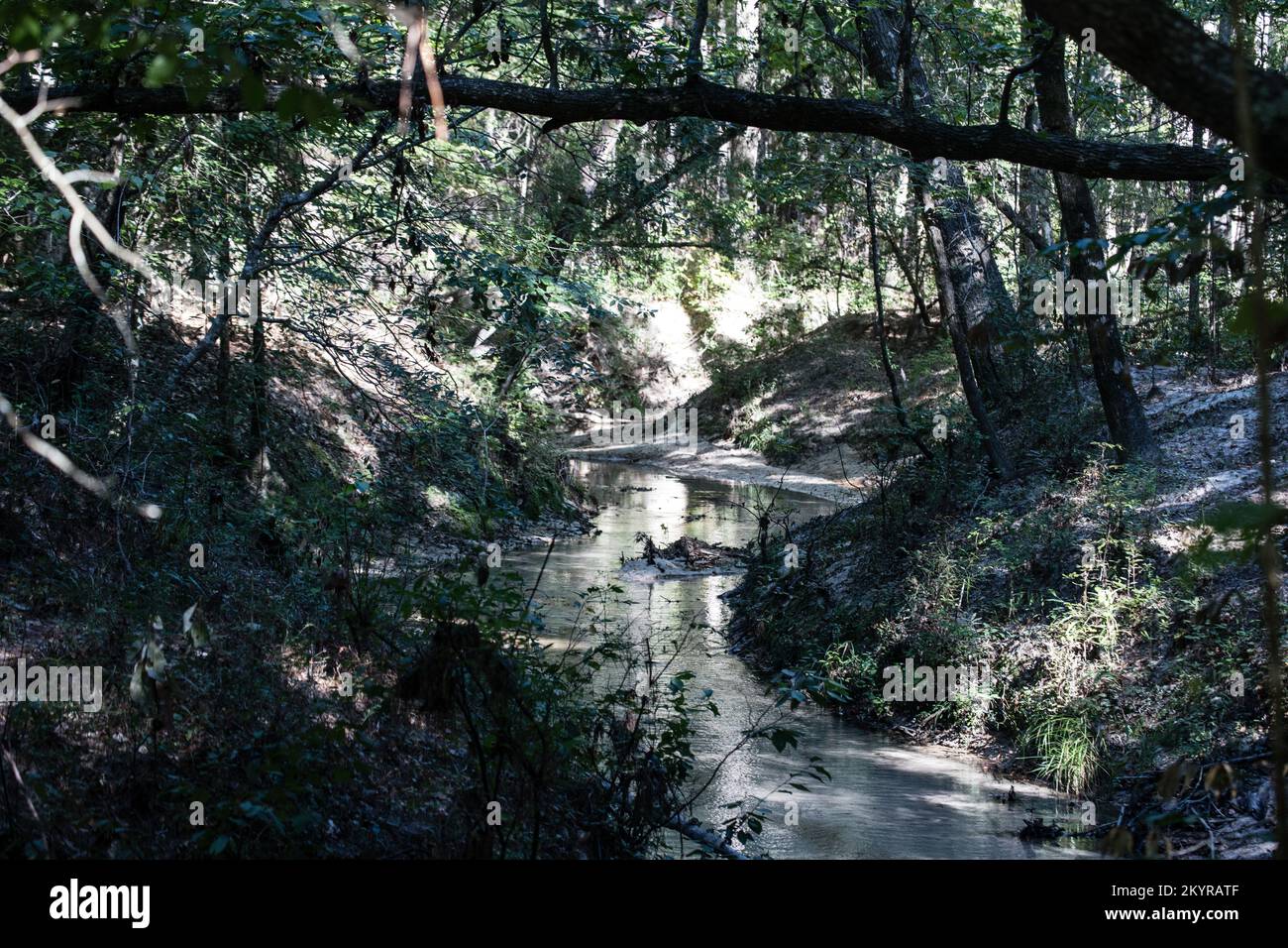 Scenes of nature from Central Texas Stock Photo - Alamy