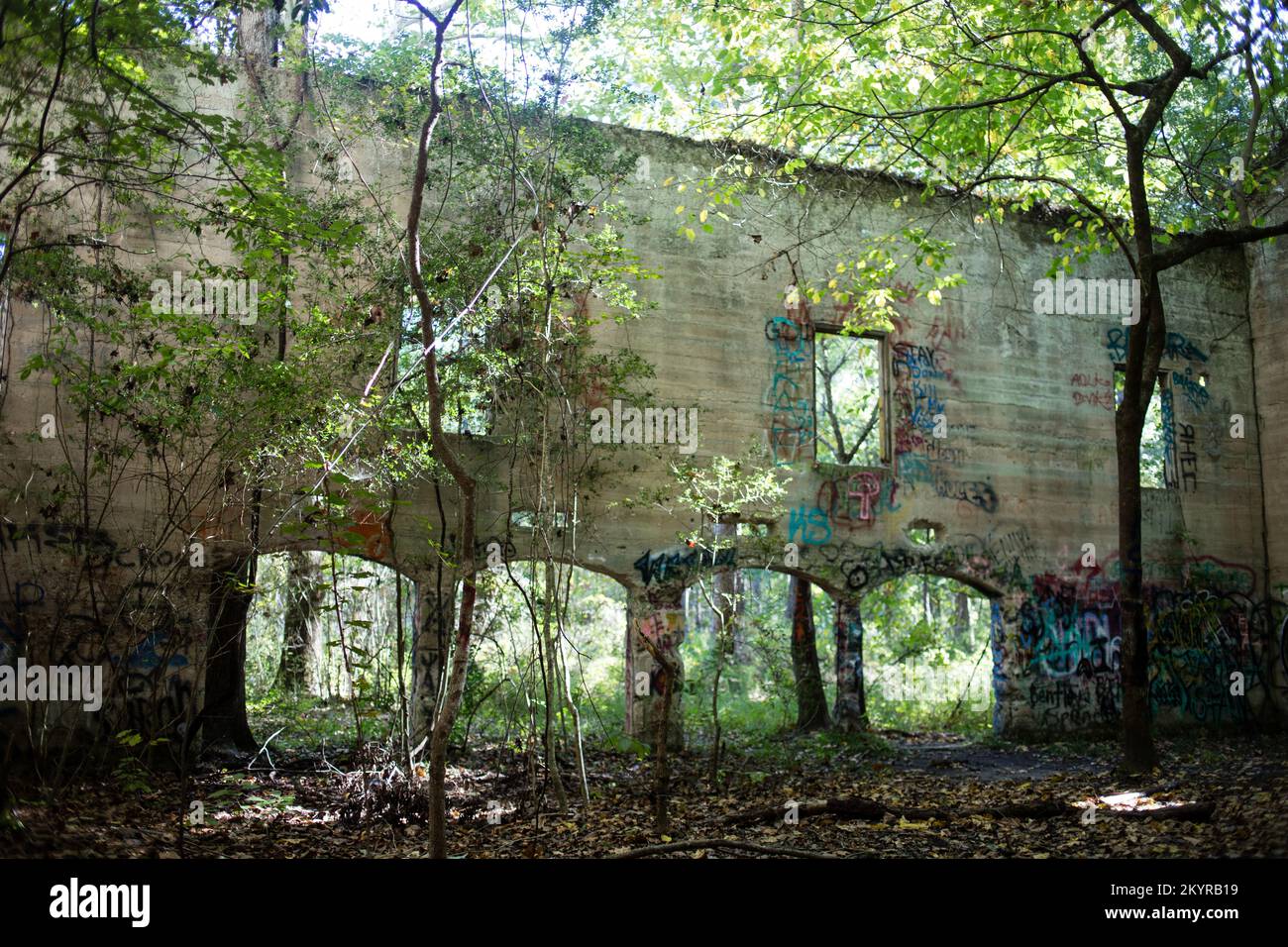 Scenes of nature from Central Texas Stock Photo - Alamy