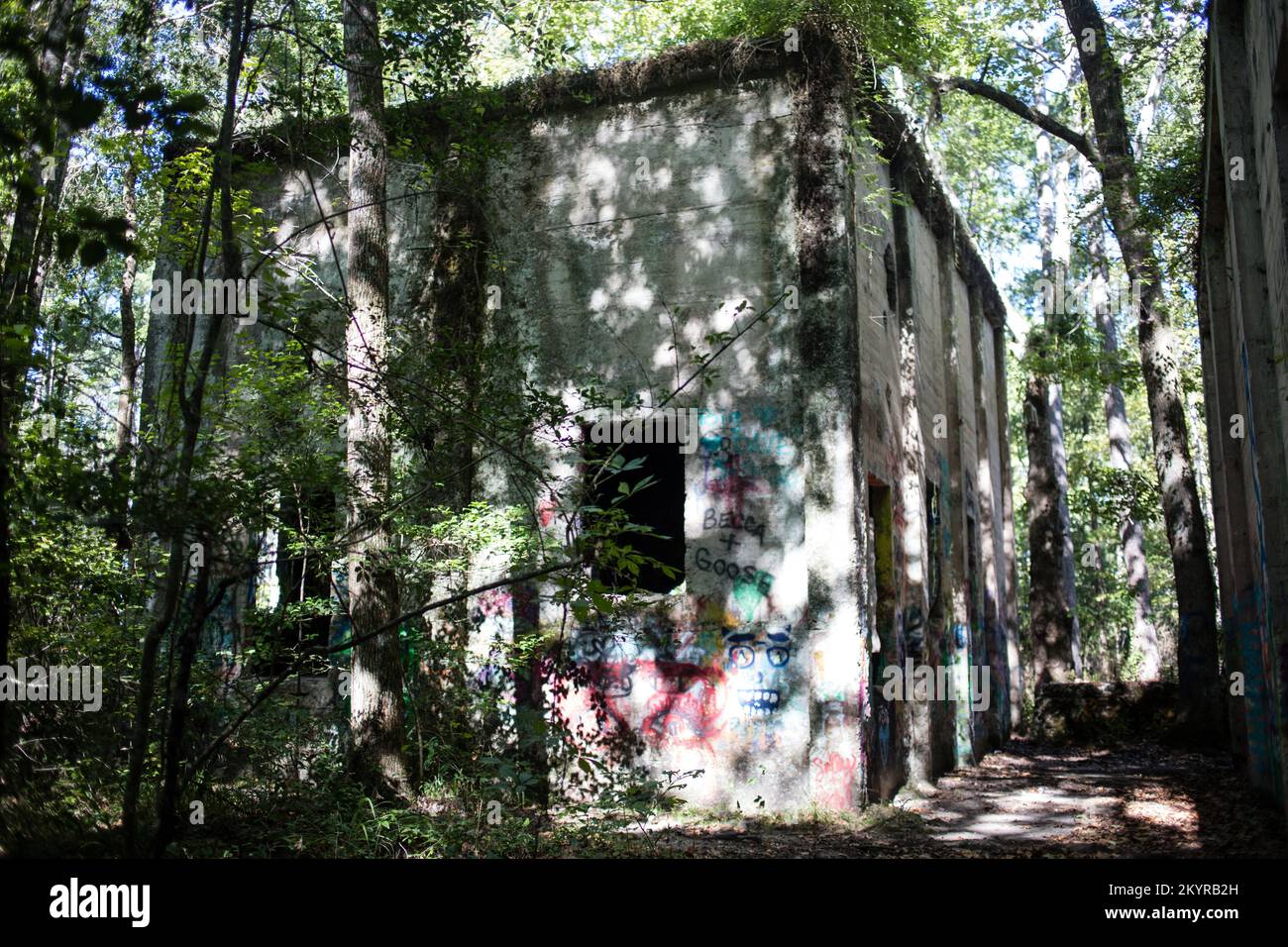Scenes of nature from Central Texas Stock Photo - Alamy