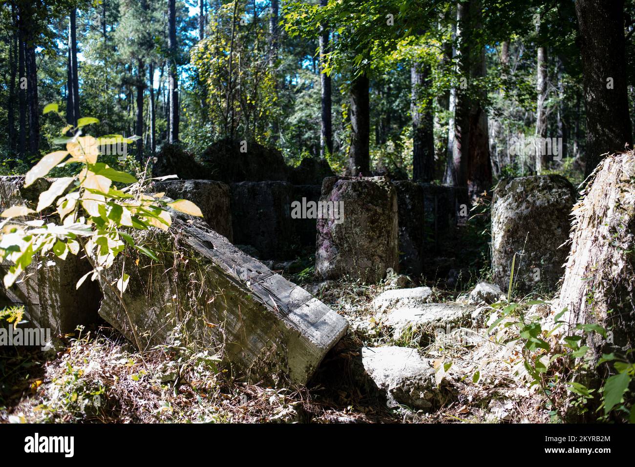 Scenes of nature from Central Texas Stock Photo - Alamy