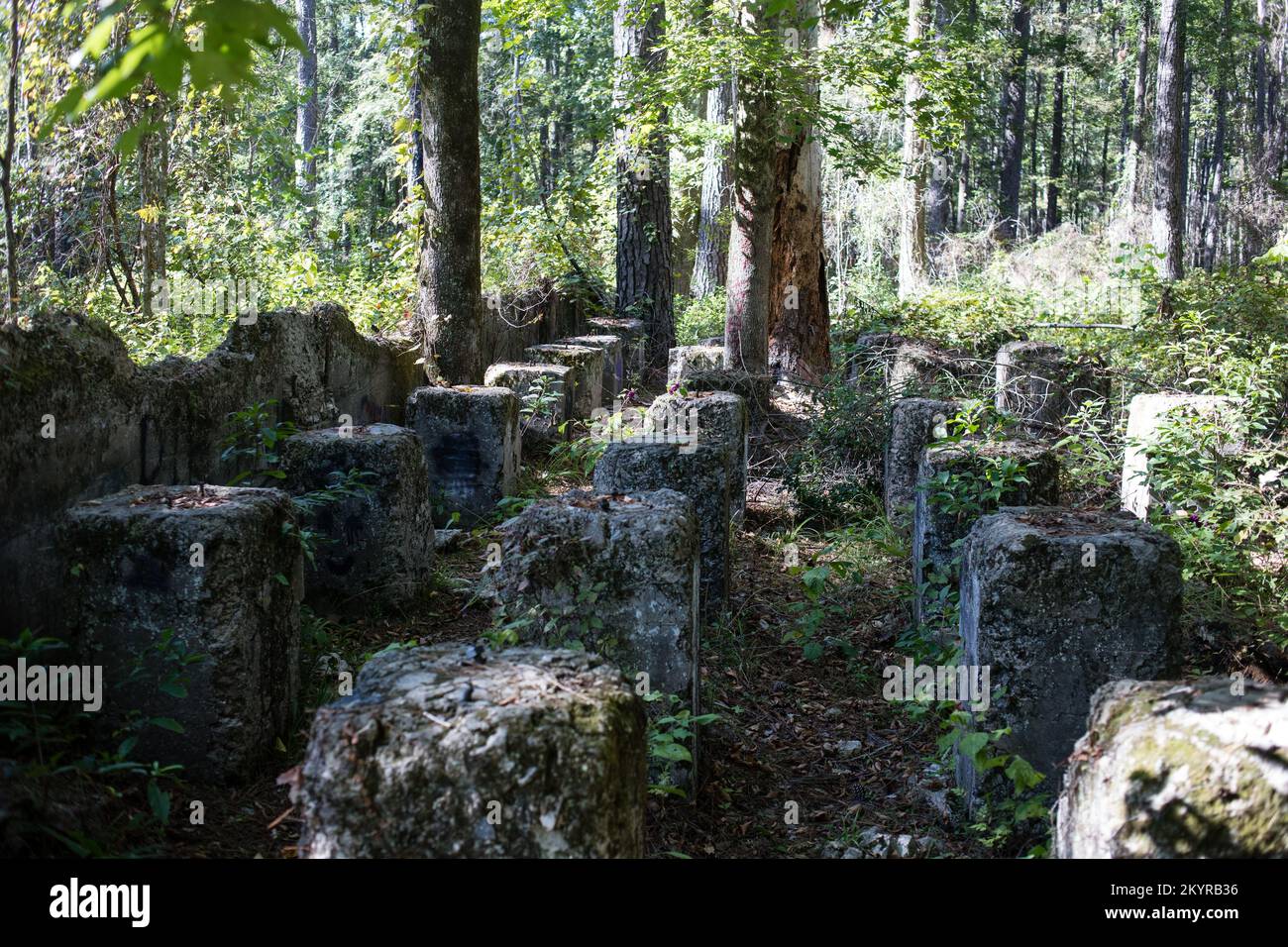 Scenes of nature from Central Texas Stock Photo - Alamy