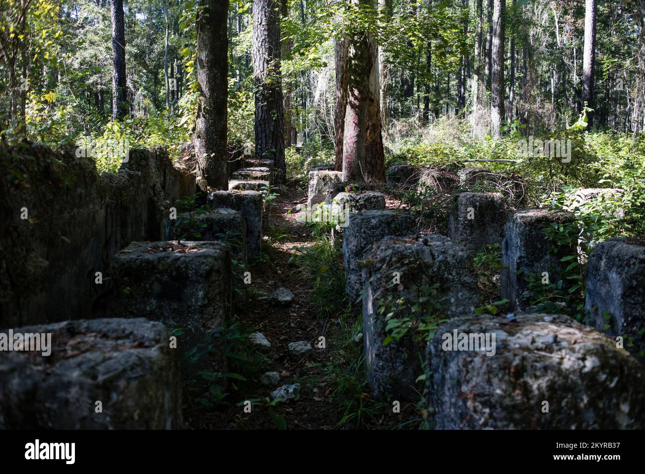 Scenes of nature from Central Texas Stock Photo - Alamy