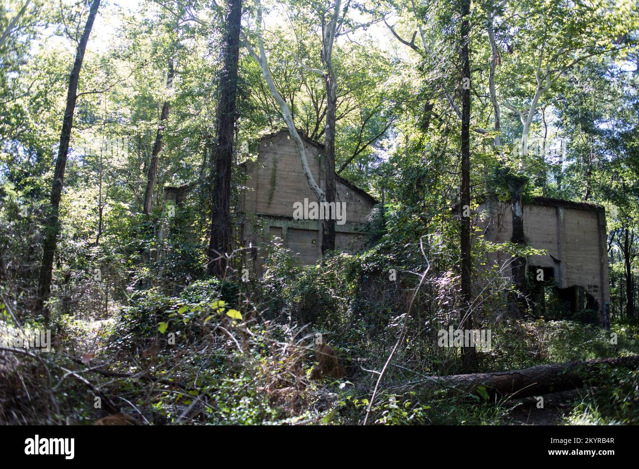 Scenes of nature from Central Texas Stock Photo - Alamy
