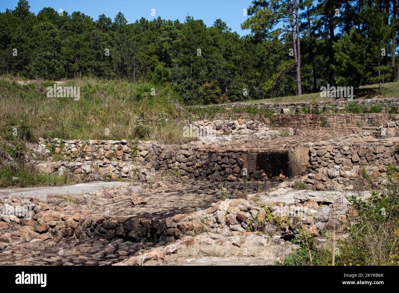 Scenes of nature from Central Texas Stock Photo - Alamy