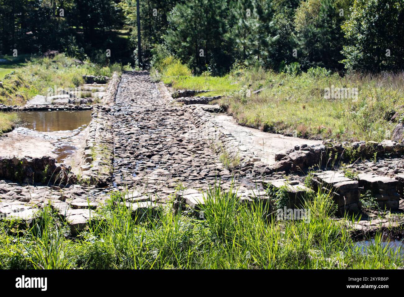 Scenes of nature from Central Texas Stock Photo - Alamy