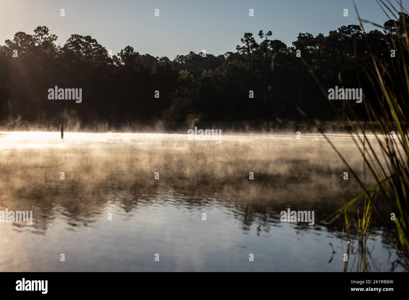 Scenes of nature from Central Texas Stock Photo - Alamy