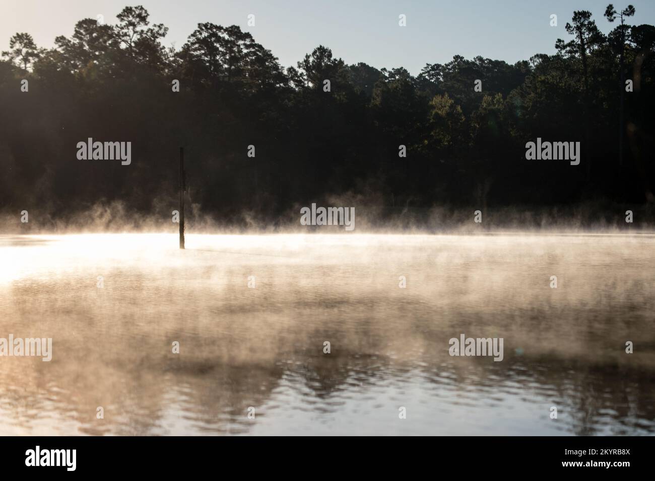 Scenes of nature from Central Texas Stock Photo - Alamy