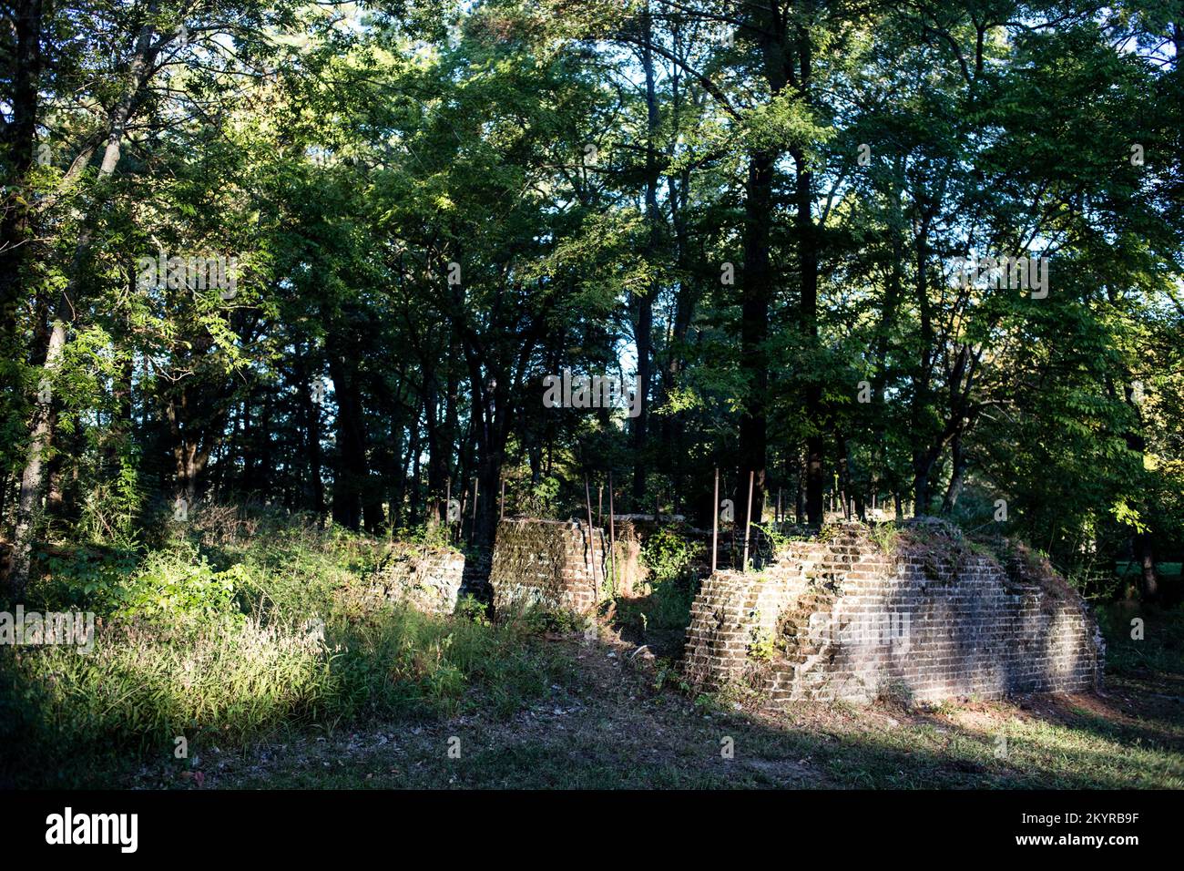 Scenes of nature from Central Texas Stock Photo - Alamy