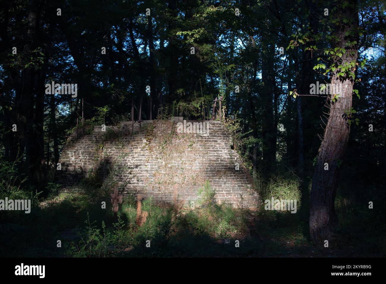 Scenes of nature from Central Texas Stock Photo - Alamy