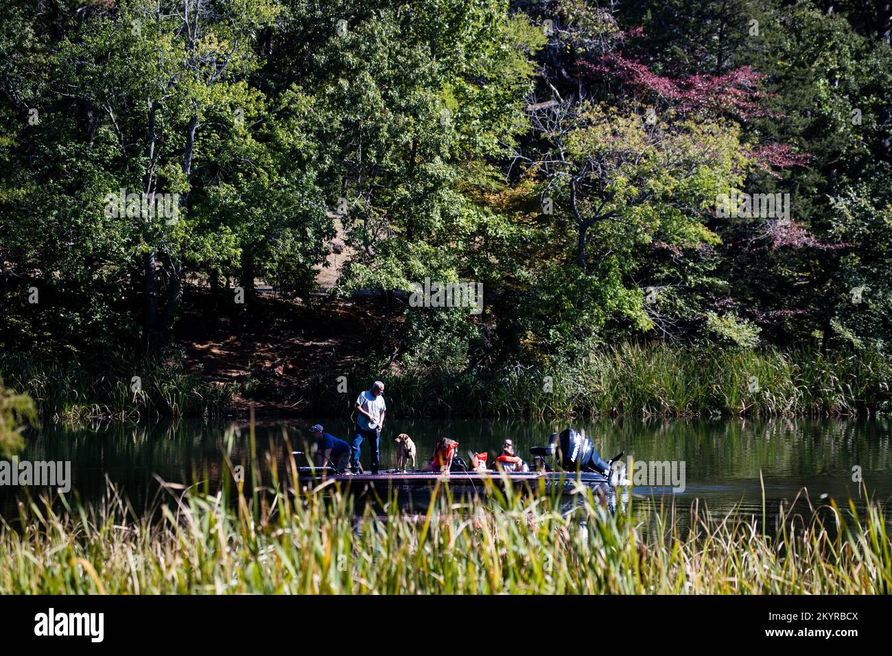 Scenes of nature from Central Texas Stock Photo - Alamy