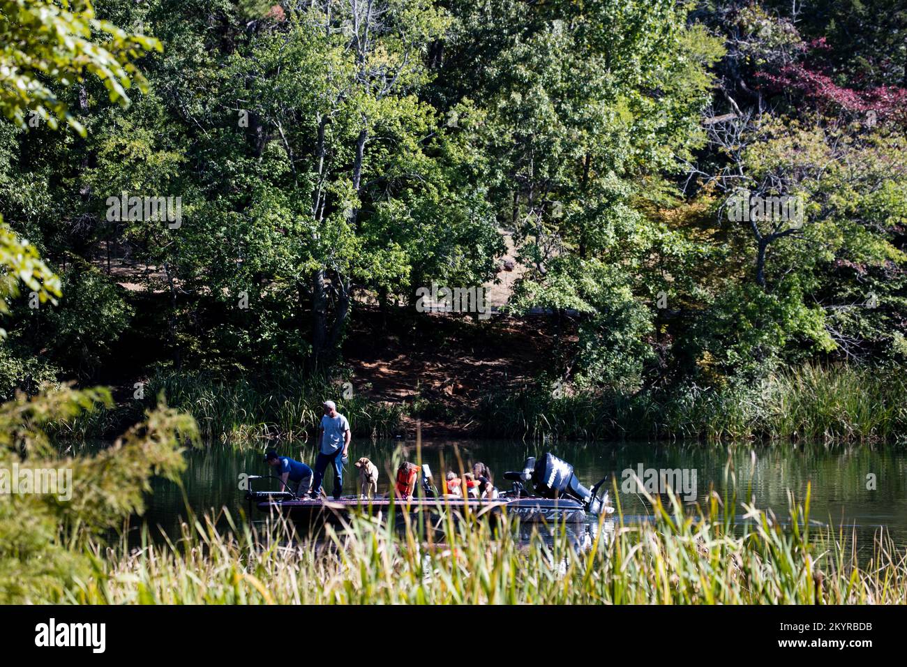 Scenes of nature from Central Texas Stock Photo - Alamy
