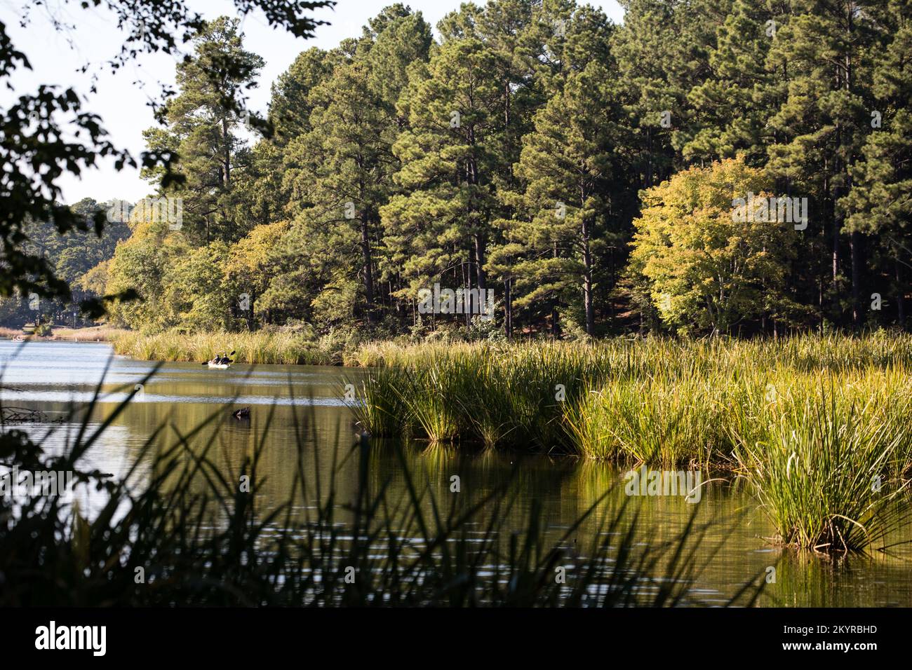 Scenes of nature from Central Texas Stock Photo - Alamy