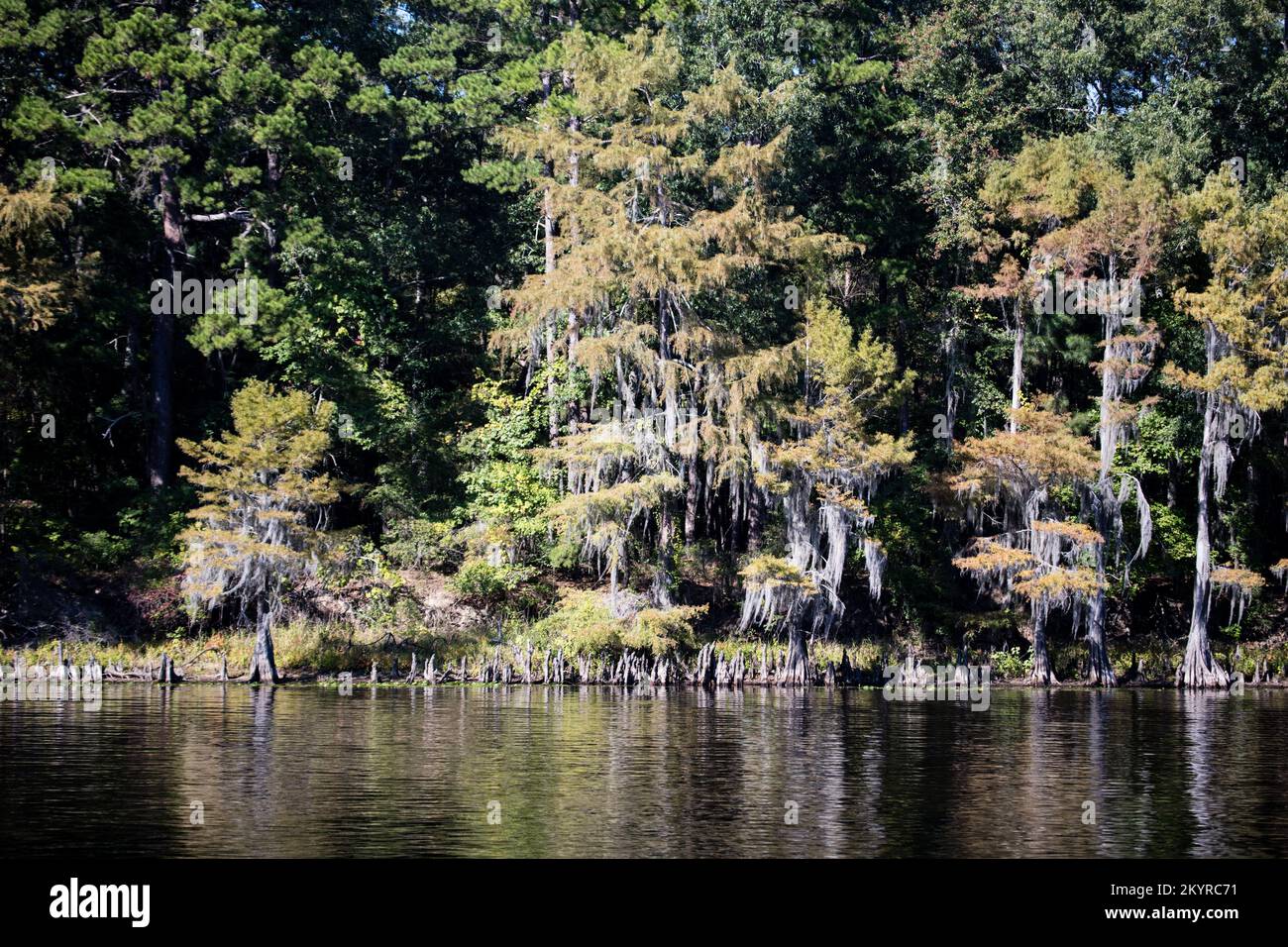 Scenes of nature from Central Texas Stock Photo - Alamy