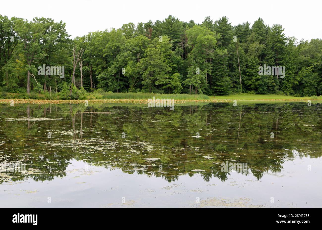 Green landscape - Cuyahoga Valley National Park, Ohio Stock Photo - Alamy