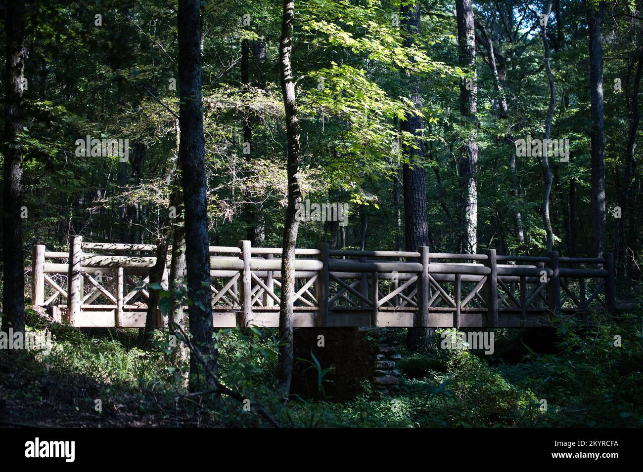 Scenes of nature from Central Texas Stock Photo - Alamy