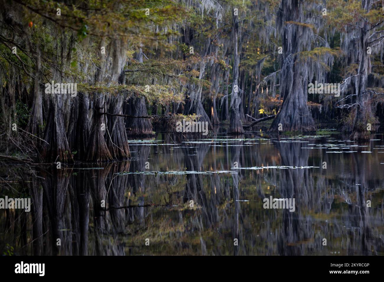 Scenes of nature from Central Texas Stock Photo - Alamy