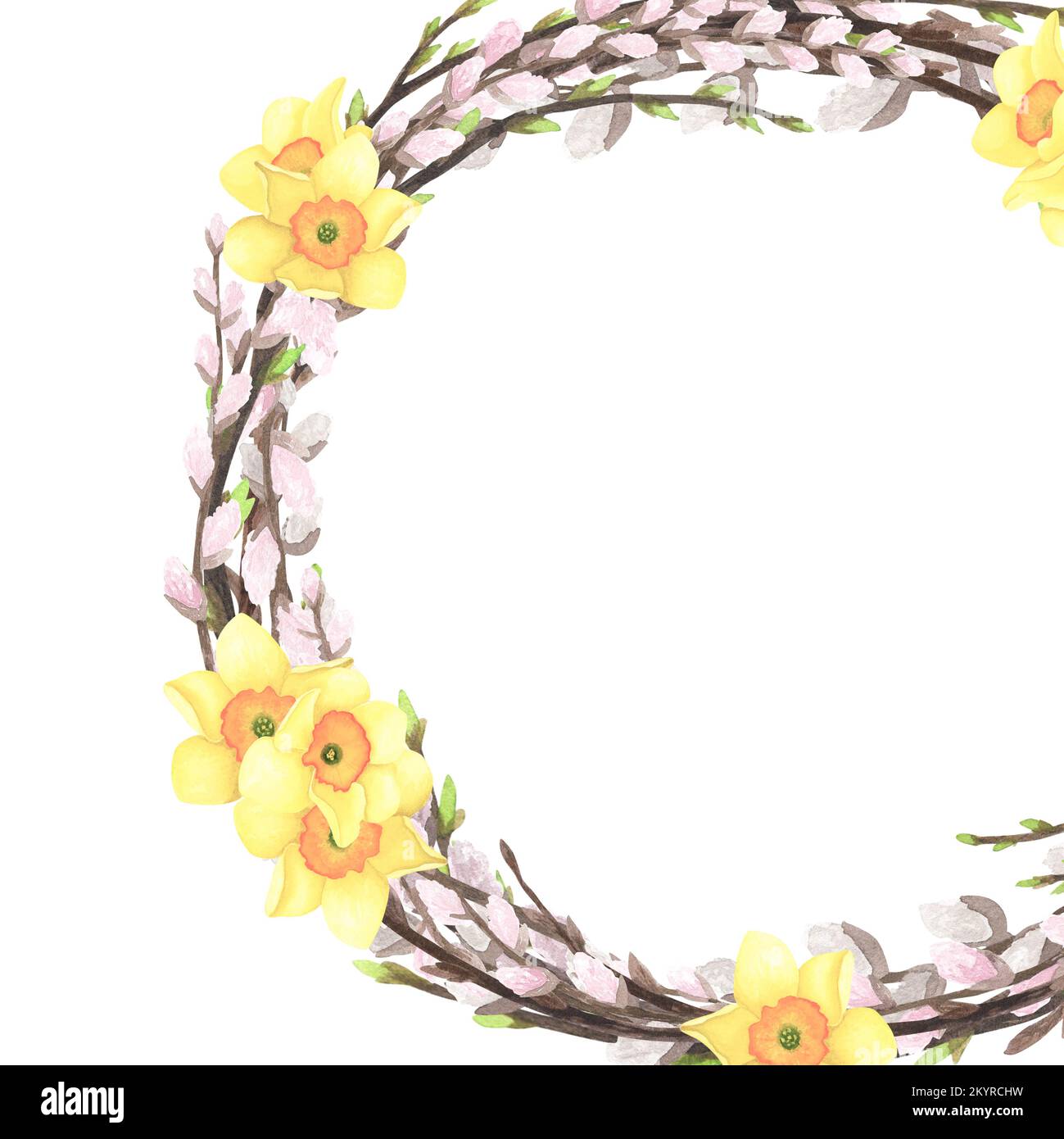 Spring willow twigs wreath watercolor with daffodil isolated on white ...