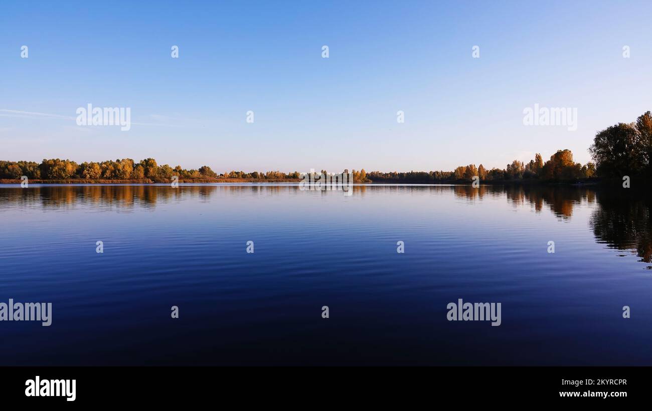 Forest clear lake with trees and shiny water Stock Photo - Alamy