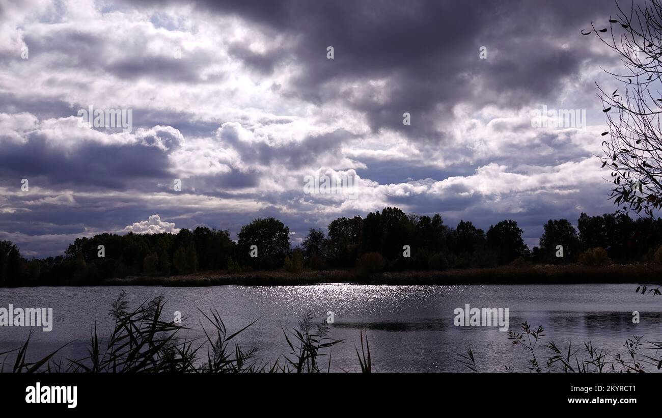 Forest clear lake with trees and shiny water Stock Photo - Alamy