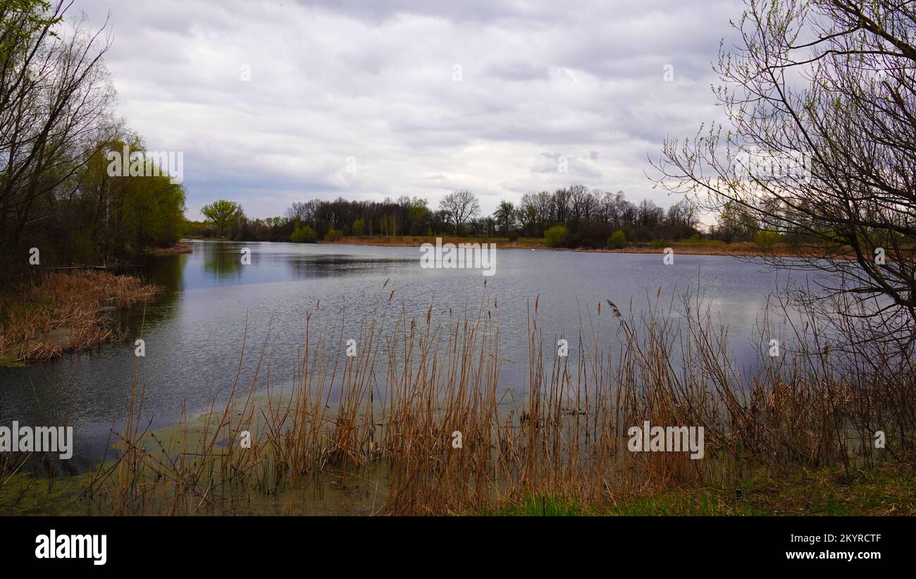 Forest clear lake in autumn with trees Stock Photo - Alamy