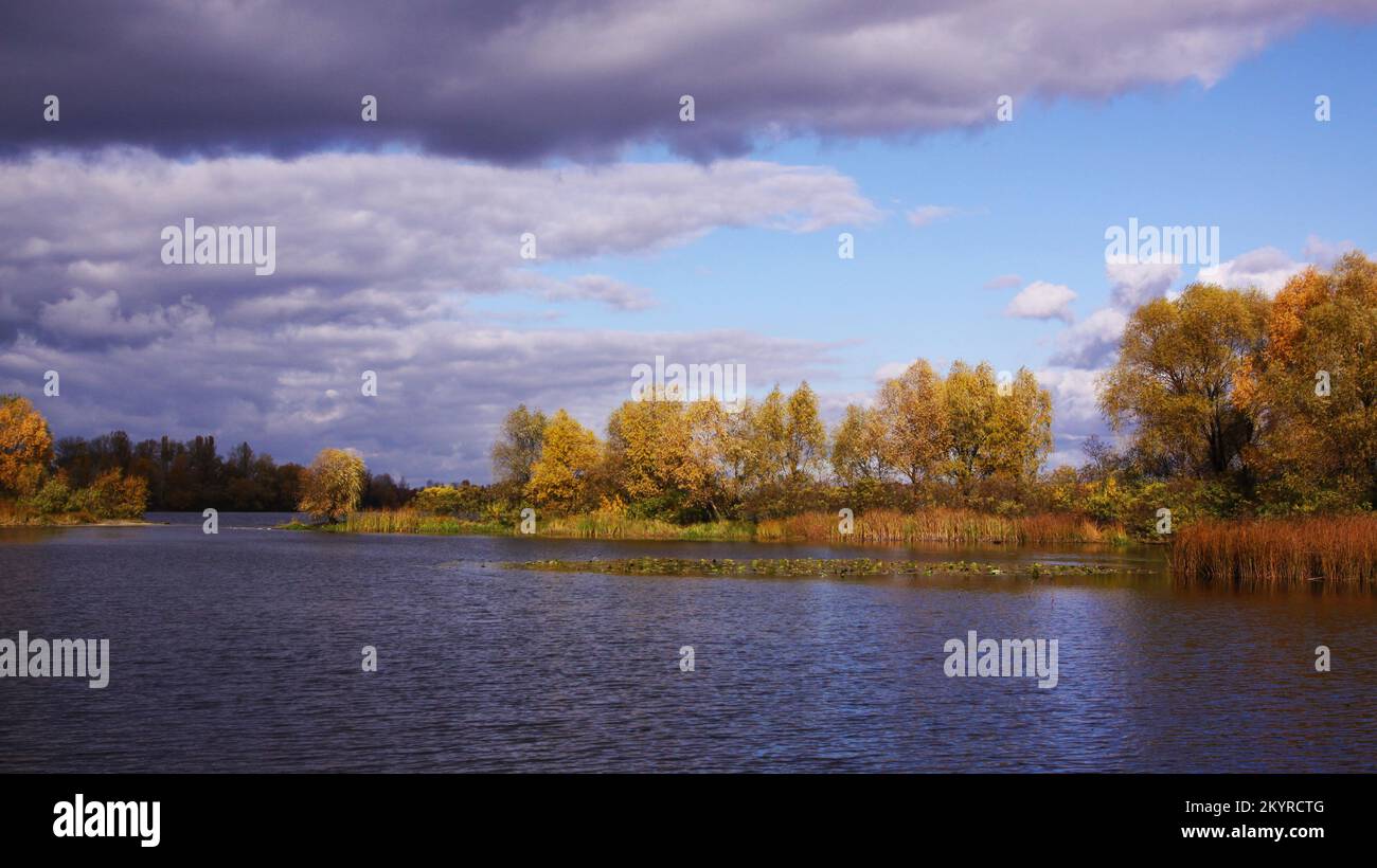 Forest clear lake in autumn with trees Stock Photo - Alamy