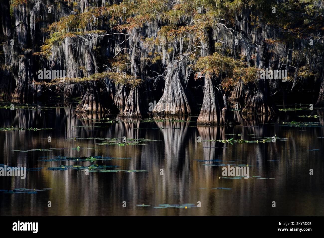 Scenes of nature from Central Texas Stock Photo - Alamy