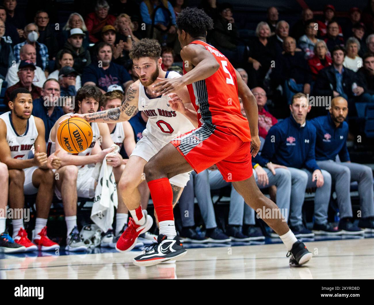 2022 0188 jpg hi-res stock photography and images - Alamy