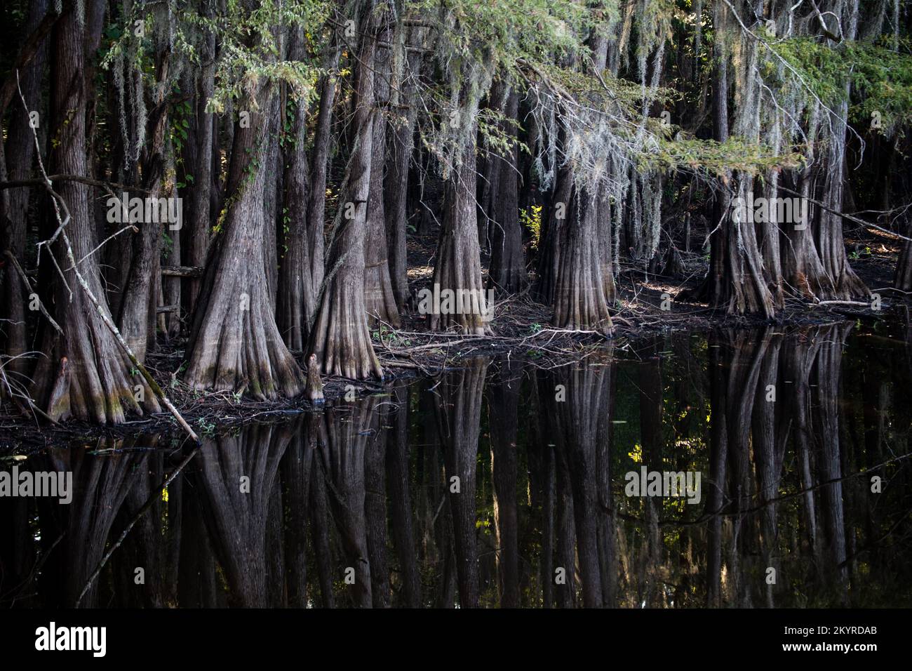 Scenes of nature from Central Texas Stock Photo - Alamy