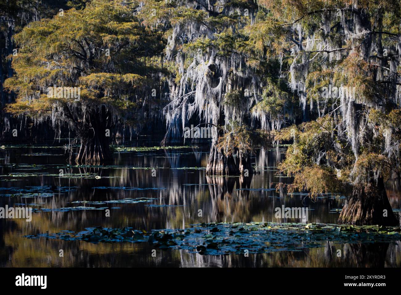 Scenes of nature from Central Texas Stock Photo - Alamy