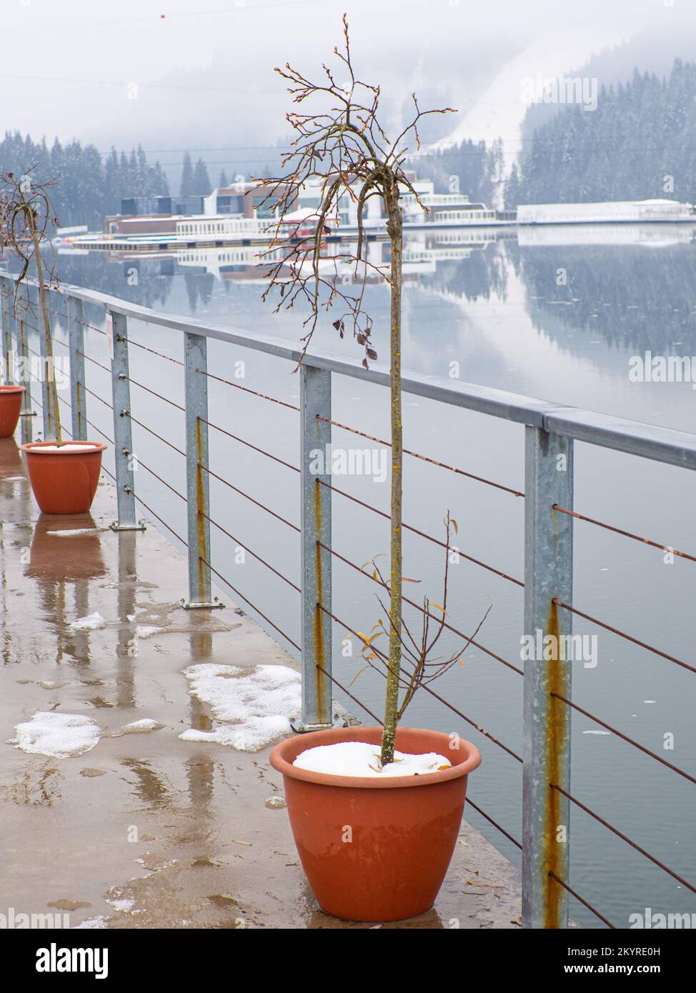 Flower pot with snow Stock Photo - Alamy
