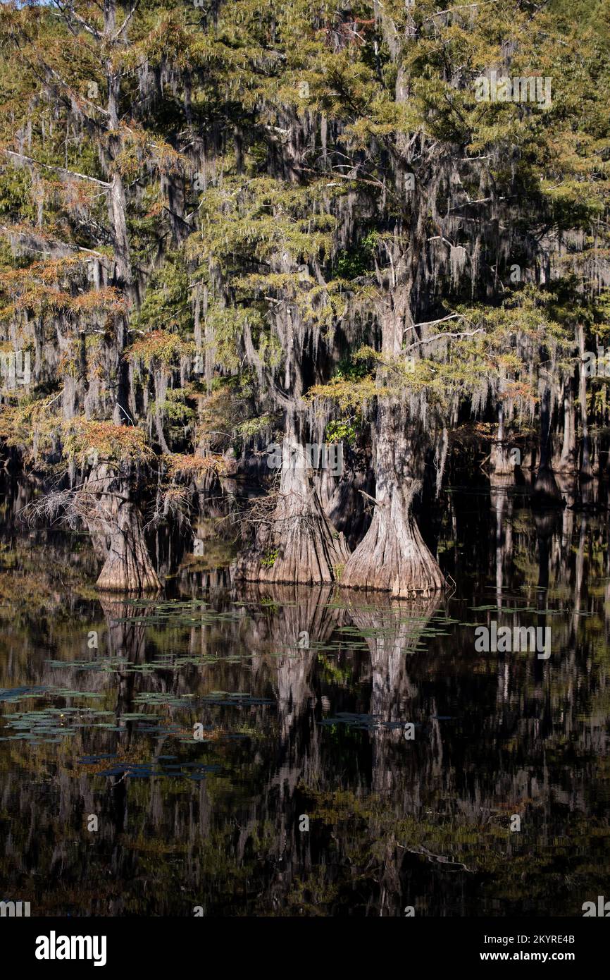 Central texas nature hi-res stock photography and images - Alamy