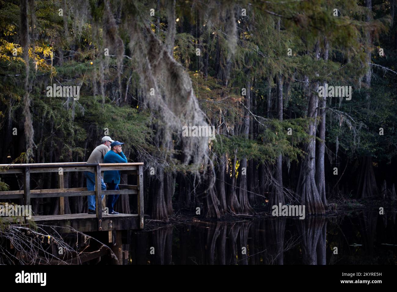 Scenes of nature from Central Texas Stock Photo - Alamy