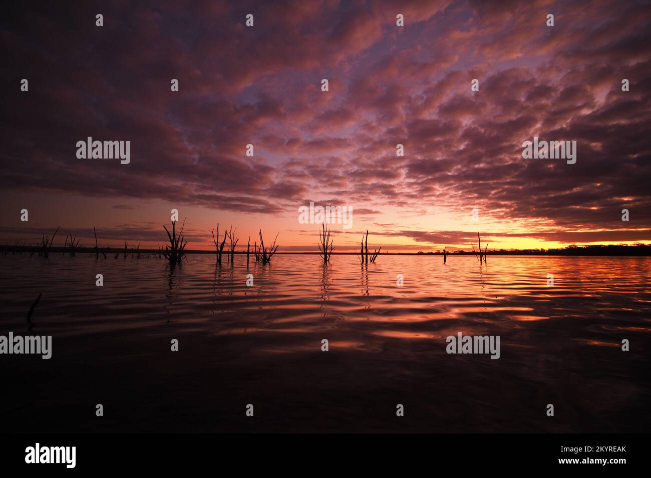 Lakes Mears Quairading Western Australia Stock Photo - Alamy