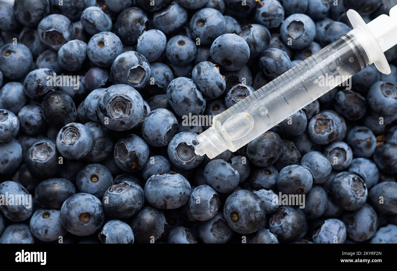 Genetic Modification, blueberry, fruit, modification, gene, syringe ...