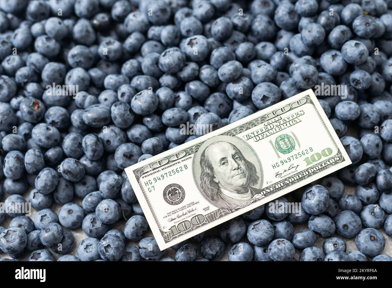 dollar on the background of a large blueberry Stock Photo - Alamy