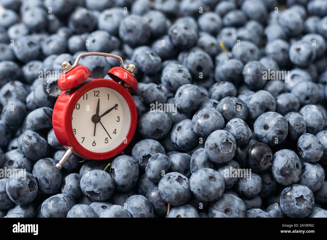 vintage alarm clock on blueberry background Stock Photo - Alamy