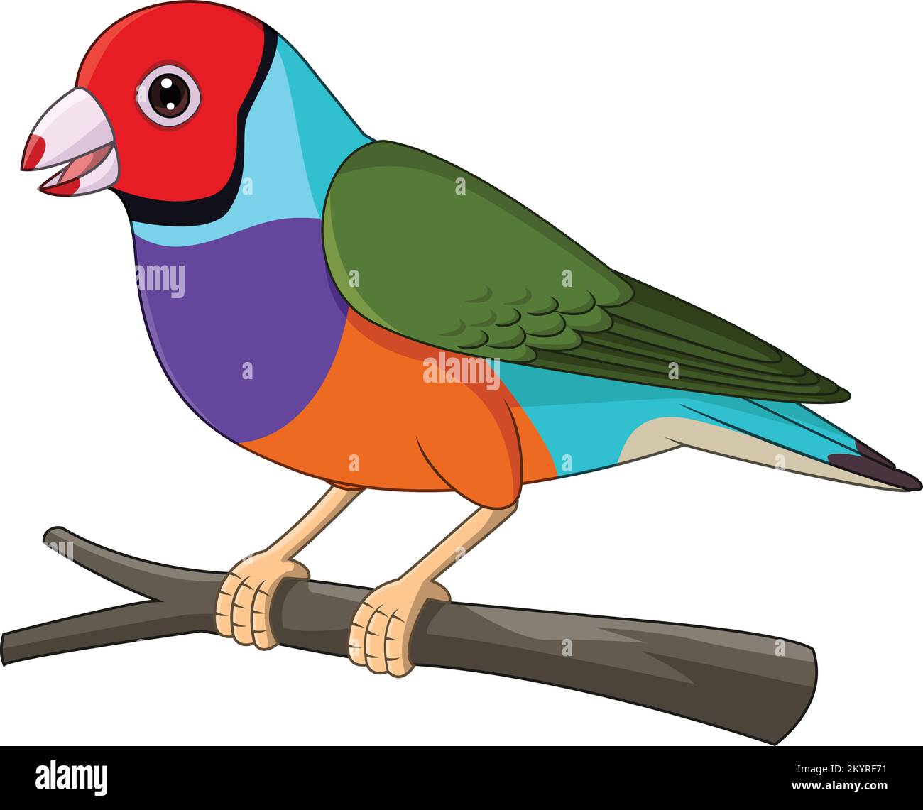 Lady macaw Stock Vector Images - Alamy
