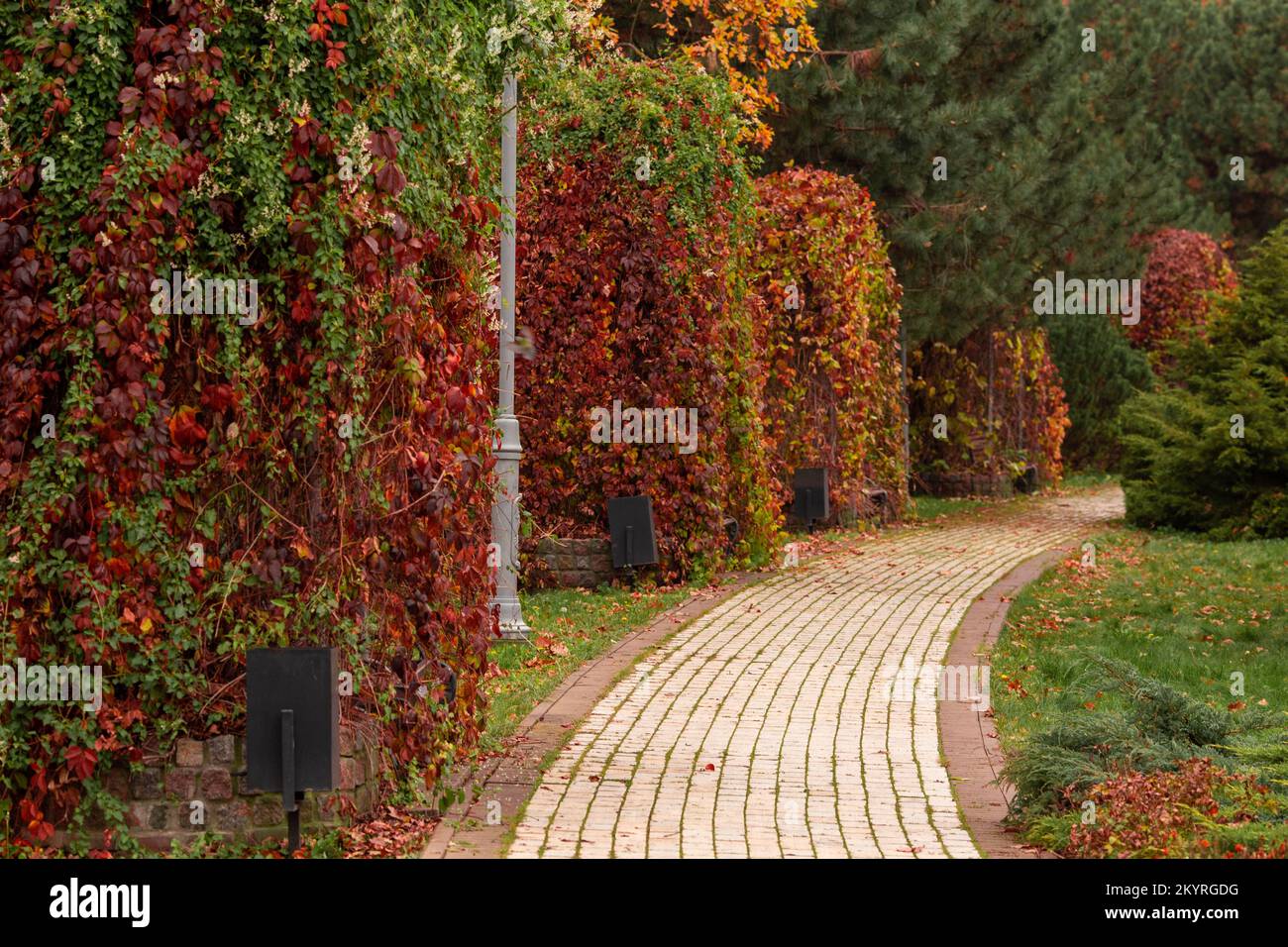 A picturesque view of a beautiful landscaped garden in the English ...