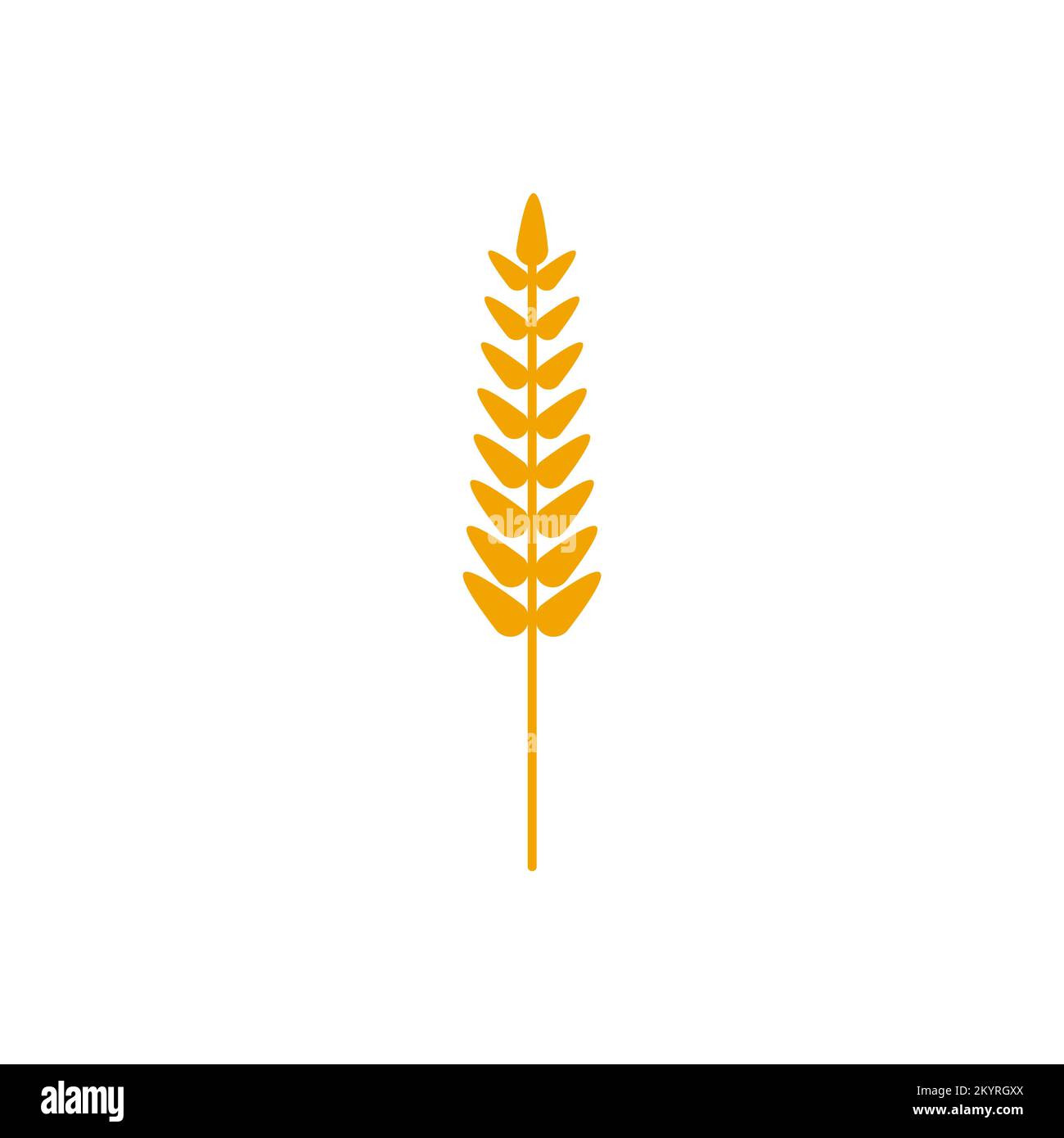 Wheat wreaths logo. Wheat ear icon. Vector agriculture ears symbol ...