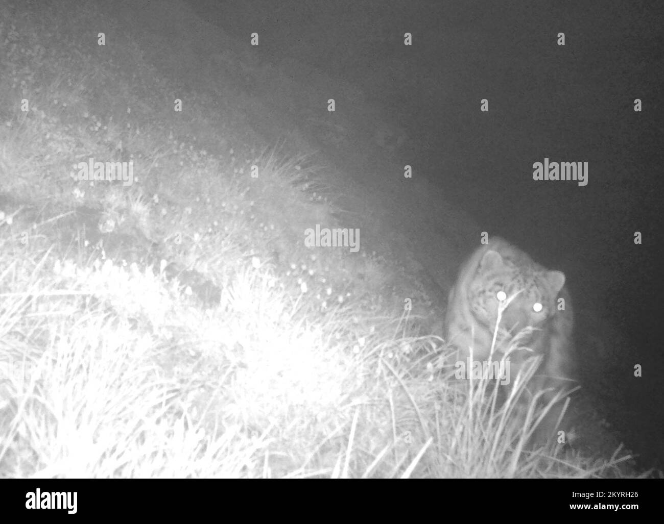 Chengdu. 2nd Dec, 2022. This file photo taken by an infrared camera ...