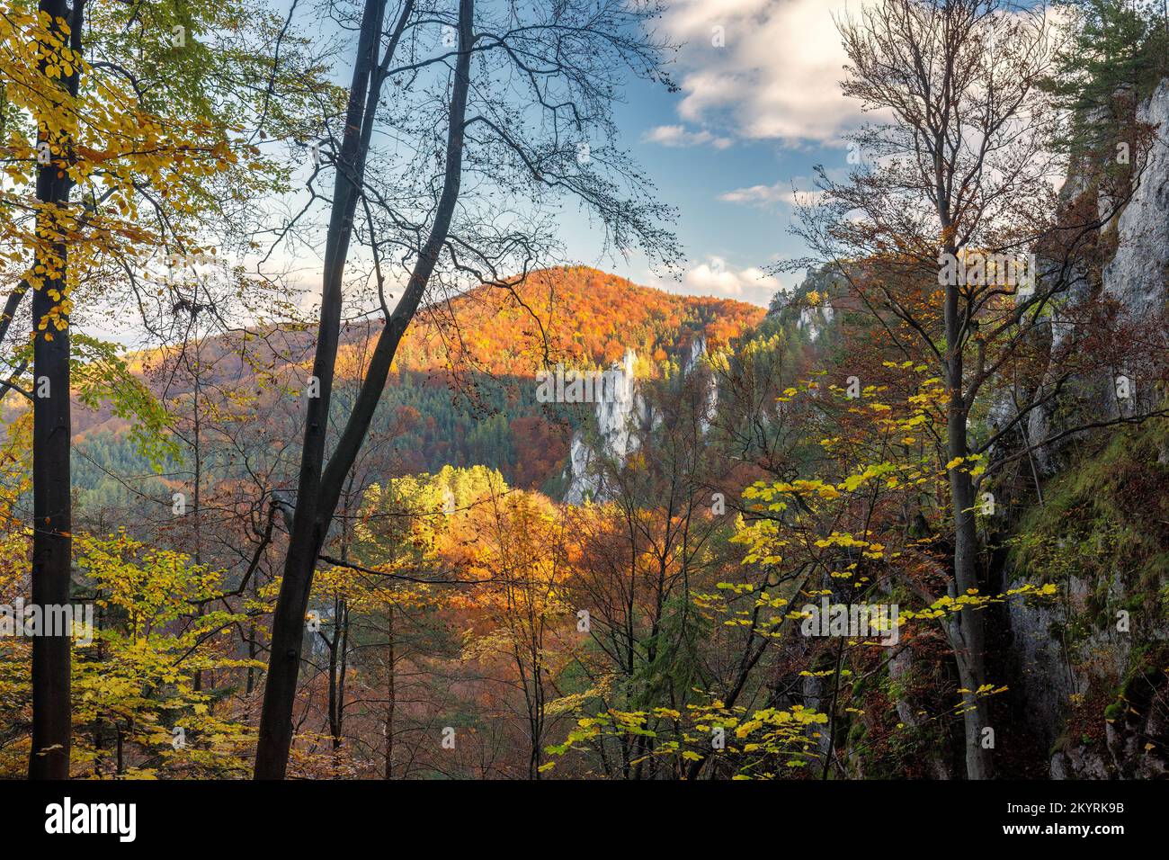 Mountain autumn landscape with brightly colored trees. The Sulov Rocks ...