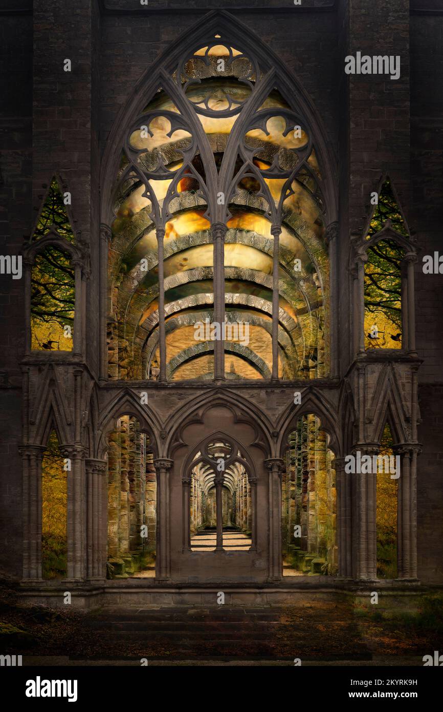 A gothic arboretum Stock Photo - Alamy