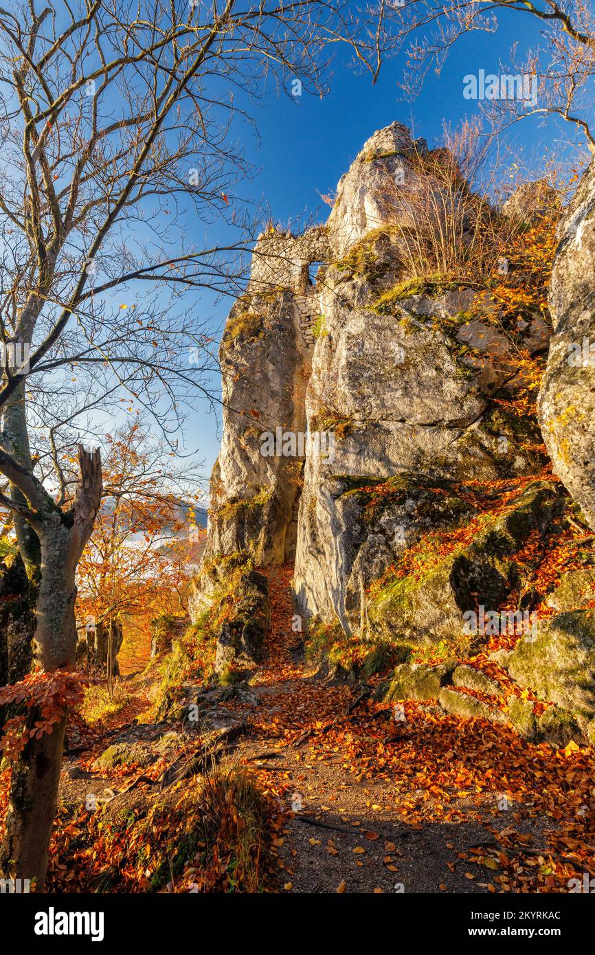 The Sulov castle ruin at autumn morning. The Sulov Rocks, national ...