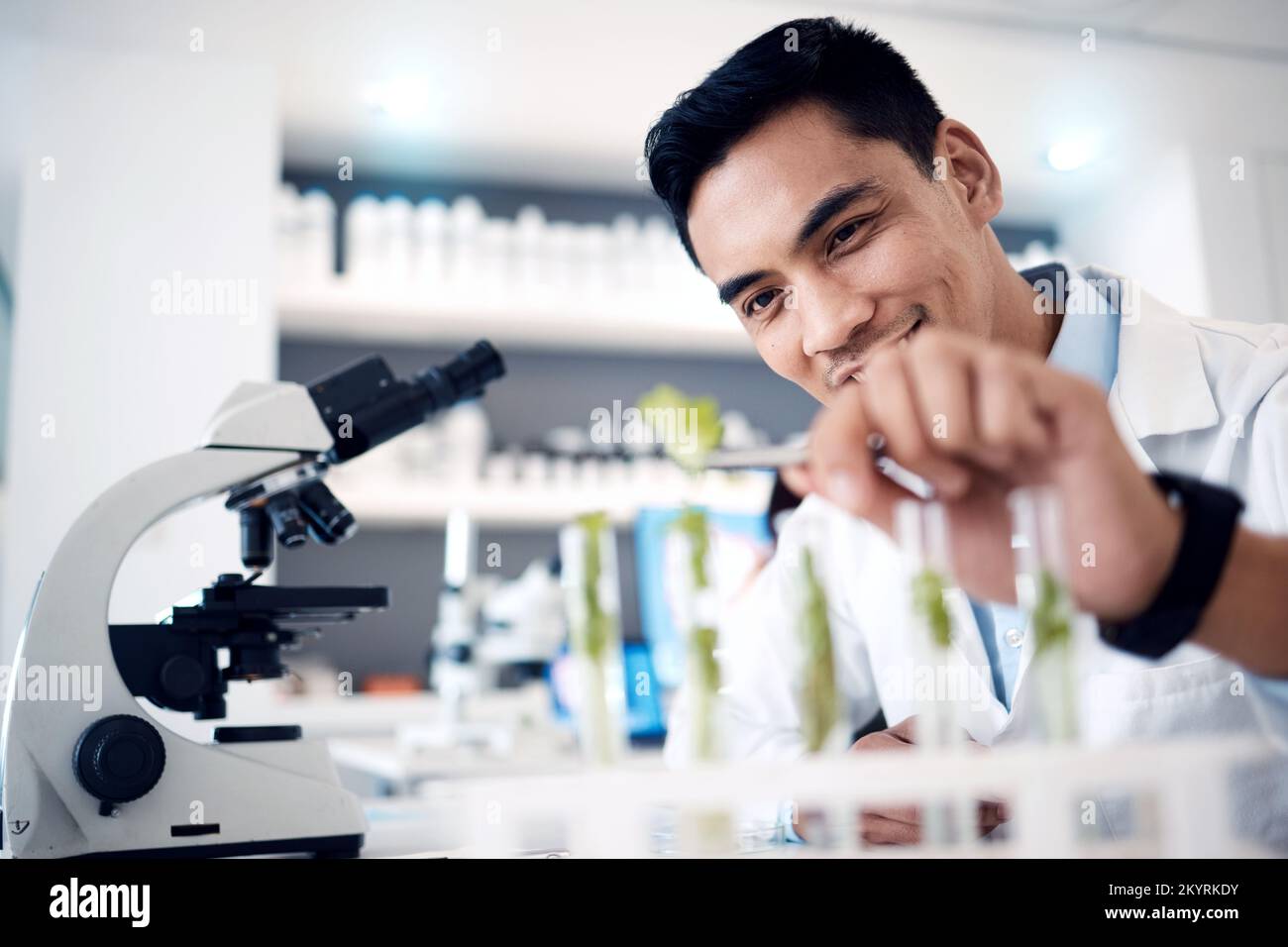 Scientist, microscope and plants pharmaceutical research, ecology ...