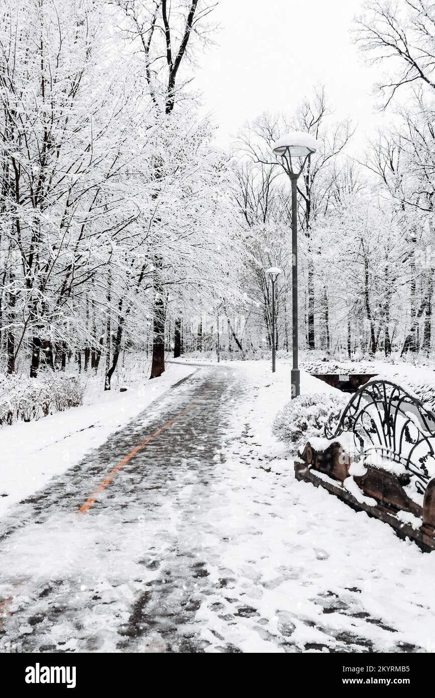 Snow-covered trees and benches in the city park. Bucha City Park ...